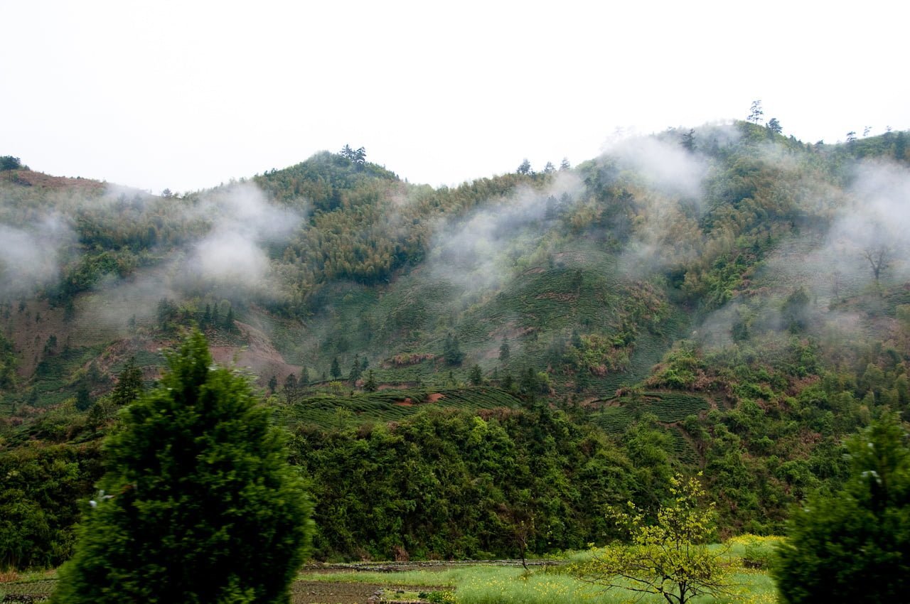 HD Manzara Resimleri, Masaüstü Arka Plan, Komik ve Güzel Resimler