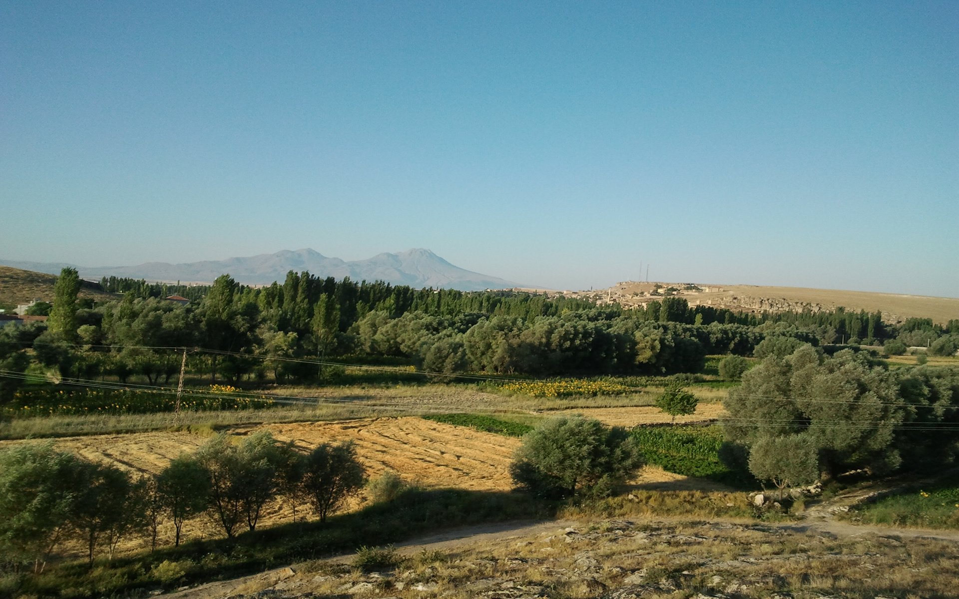 Ağaçlar ve Arazi | Manzara Resimleri